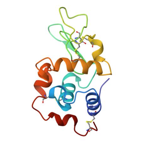 Rcsb Pdb 193l The 133 A Structure Of Tetragonal Hen Egg White Lysozyme