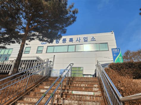 성남 차량등록소 자동차 차량 번호판 한번에 교체하는 방법 코멧과 함께하는 슬기로운 생활