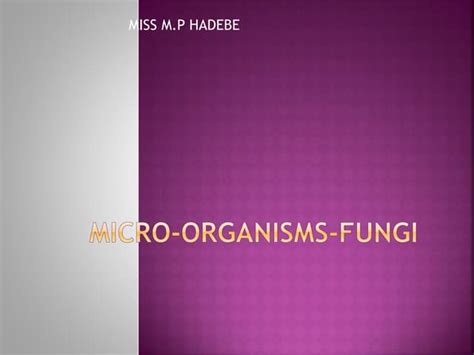 Micro Organisms Fungi Ppt