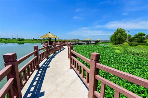 青浦叶港村绿色密码扮靓宜居宜游美丽乡村底色 青浦要闻 新闻中心 上海市青浦区人民政府