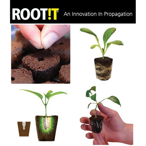 Кубики Root Riot 24 шт купить в Санкт-Петербурге | Гроушоп Heygrowers