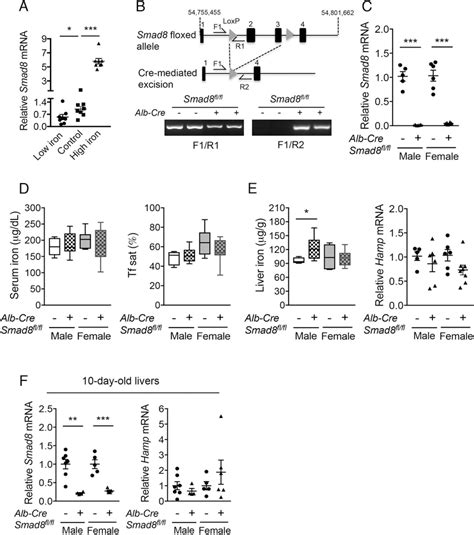 Ablation Of Hepatocyte Smad1 Smad5 And Smad8 Causes Severe Tissue