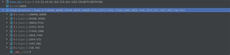 why tifffile package only load 5 series rather than 9 series as
