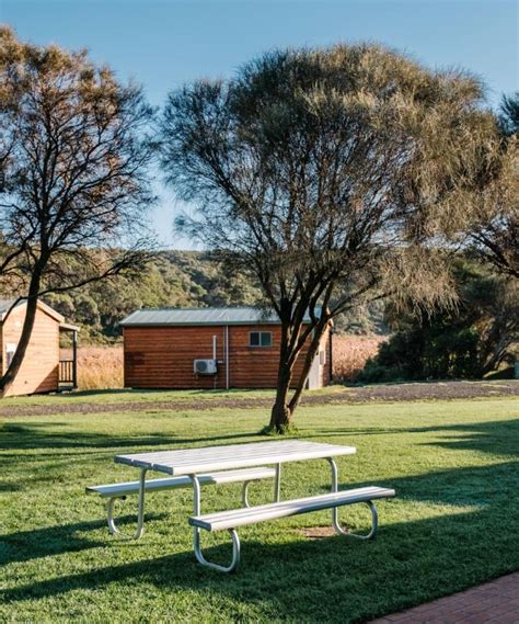 The Importance Of Hiring A Professional Arborist Bambrough Tree