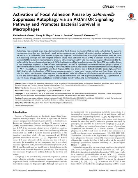 Pdf Activation Of Focal Adhesion Kinase By Salmonella Signaling