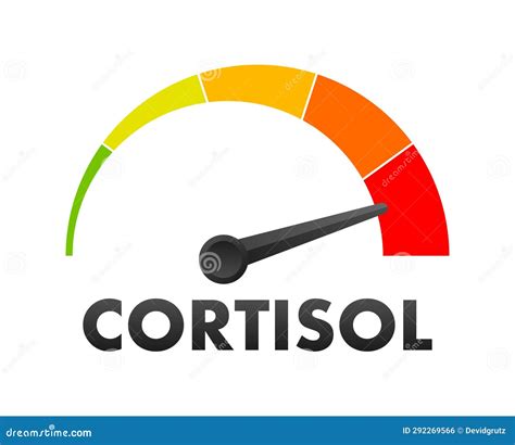 Cortisol Meter Vertical Scale Body Stress Response Levels Chart From