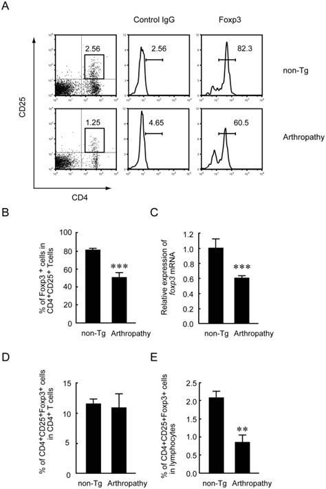 A Representative Flow Cytometric Analysis Of Foxp3 Staining In Gated Download Scientific
