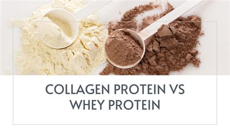 Collagen Protein Vs Whey Protein