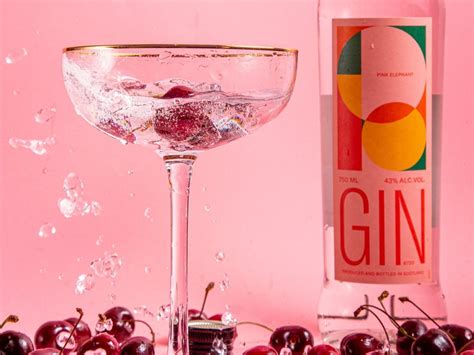 Story — Pink Elephant Gin