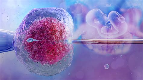 In Vitro Fertilization Ivf Civic Issues Blog