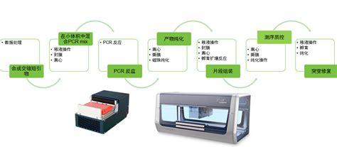 Hamilton自动化解决方案在合成生物学中的应用 哈美顿 上海 实验器材有限公司