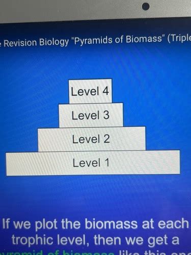 Pyramids Of Biomass Flashcards Quizlet