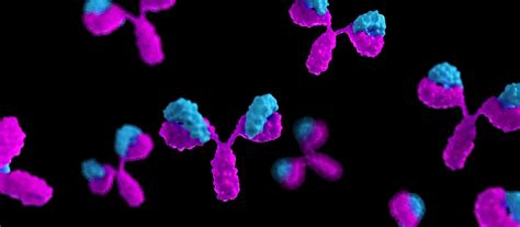 Western Blot Normalization Challenges And Considerations For