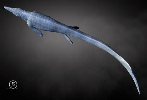 🗿 Tylosaurus Apex Terror Of The Cretaceous Seas・ 3d File For 3d