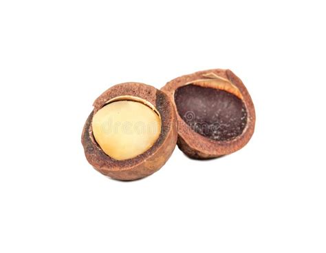 Open Macadamia Nut Stock Image Image Of Healthy Brown 209188739