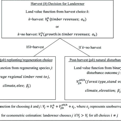 Schematic Of Econometric Model Of Forest Management Estimation Is Download Scientific Diagram