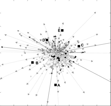 Derived Joint Space For The Two Dimensional Model 2 Note Individuals