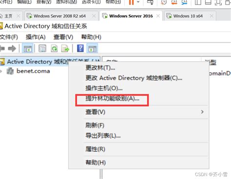 windows server 2008升级为 windows server 2016 server2008域控升级至2016 齐小雪的博客