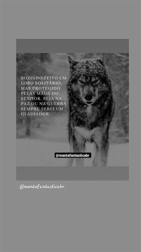 Pin De Missy Lima Em Frases De Deus Lobo Solitário Gladiador Solitário