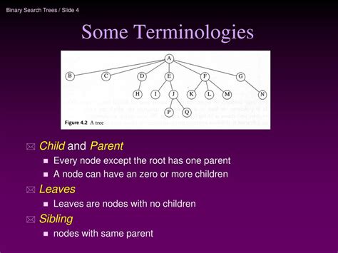 Binary Trees Binary Search Trees Ppt Download