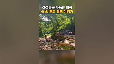 취사 가능 계곡 숲 속에 숨겨진 무료 데크야영장 Youtube
