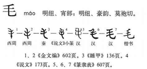毛（汉语汉字）百度百科