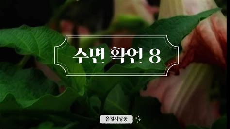 수면확언8 수면을 통해 스트레스는 사라지고 달라진 내일을 만들어가는 영상 사진 손한별 은결시낭송 Youtube