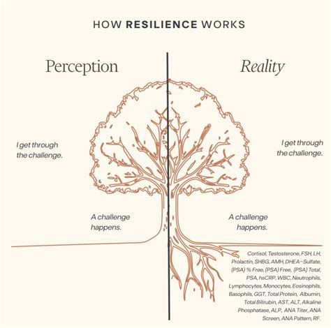 Function Health On Linkedin Resilience Isnt Just A Mindset—its A