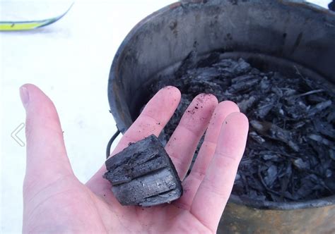 The Biochar Solution Root Simple