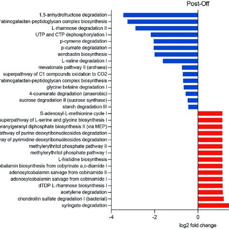 Pathway Abundance Prediction By Picrust2 Of The Fecal Microbiota