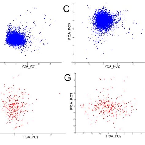 Schematic Of The Spatial Distribution Of The Principal Components Download Scientific Diagram