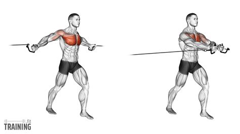 Cable Chest Fly Instructions Information And Alternatives Trainingfit