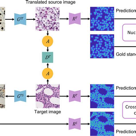 The Overview Of The Proposed Low Resource Uda Method For Cross Modality