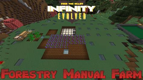 Ftb Infinity Evolved Forestry Manual Farm Youtube