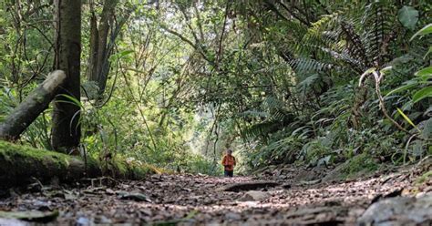 Hay Cierres De Senderos De Los Cerros Orientales Este Jueves 1 De Mayo