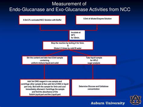 PPT Measurement Of Endo And Exo Glucanase Activities In Cellulase Using Non Crystalline