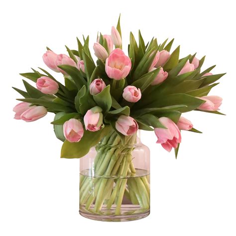 Ý nghĩa hoa tulip Hoarosa