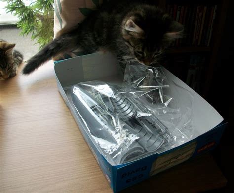 CSS David Work In Progress Maritime Britmodeller Com