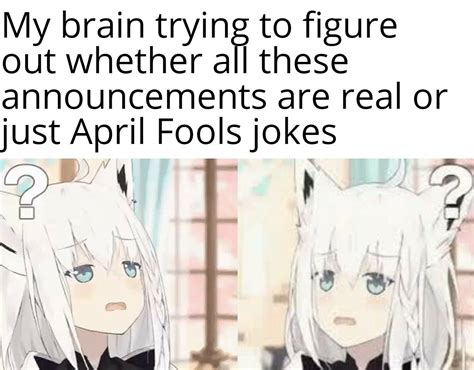 I Dont Know Whats Real Anymore Scrolller