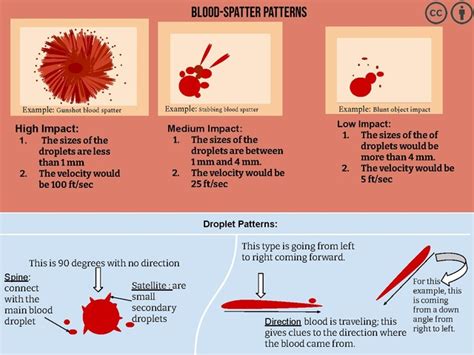 Bloodstain Pattern Analysis Handwiki
