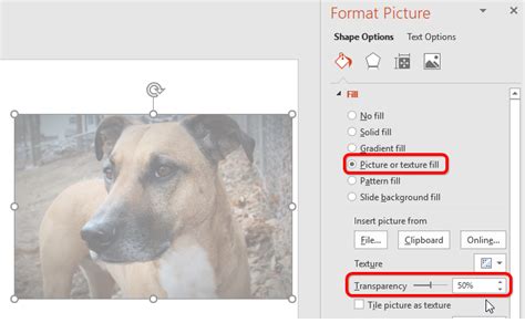 How To Make An Image Transparent In PowerPoint PowerPoint Tips And