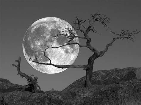 Moon Nature Earth Sexy HD Wallpaper Peakpx Moon Nature Earth Sexy HD Wallpaper Peakpx