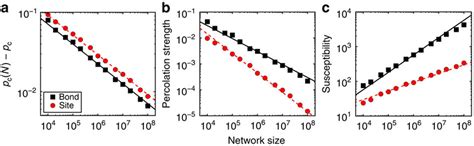 Critical Behavior Of Bond And Site Percolation On Scale Free Graphs