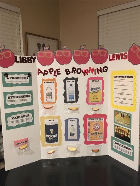 Science Fair Projects Using The Scientific Method At Adeline Ouellette Blog