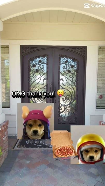 Memes Funnyshorts Youtube