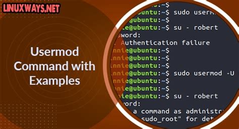Usermod Command With Examples LinuxWays