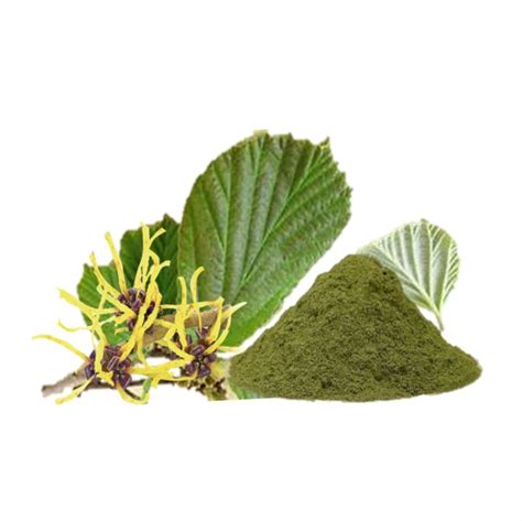 Hamamelis En Polvo X 250g Nutrydía Perú