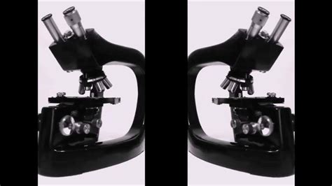Steindorff Microbe Hunter A Microscope That Is A Work Of Art From The