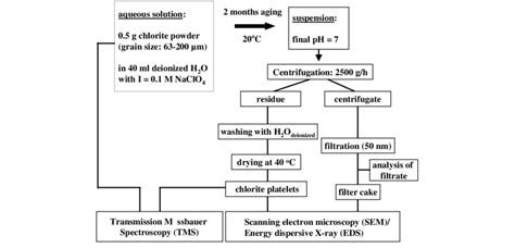 Schematic Illustration Of Solid Sample Preparation For Sem Eds And M