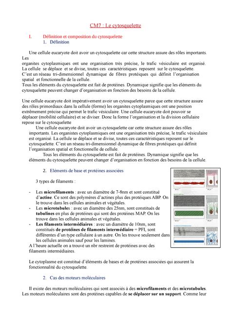 Cm7 La Composition Du Cytosquelette Cm7 Le Cytosquelette I